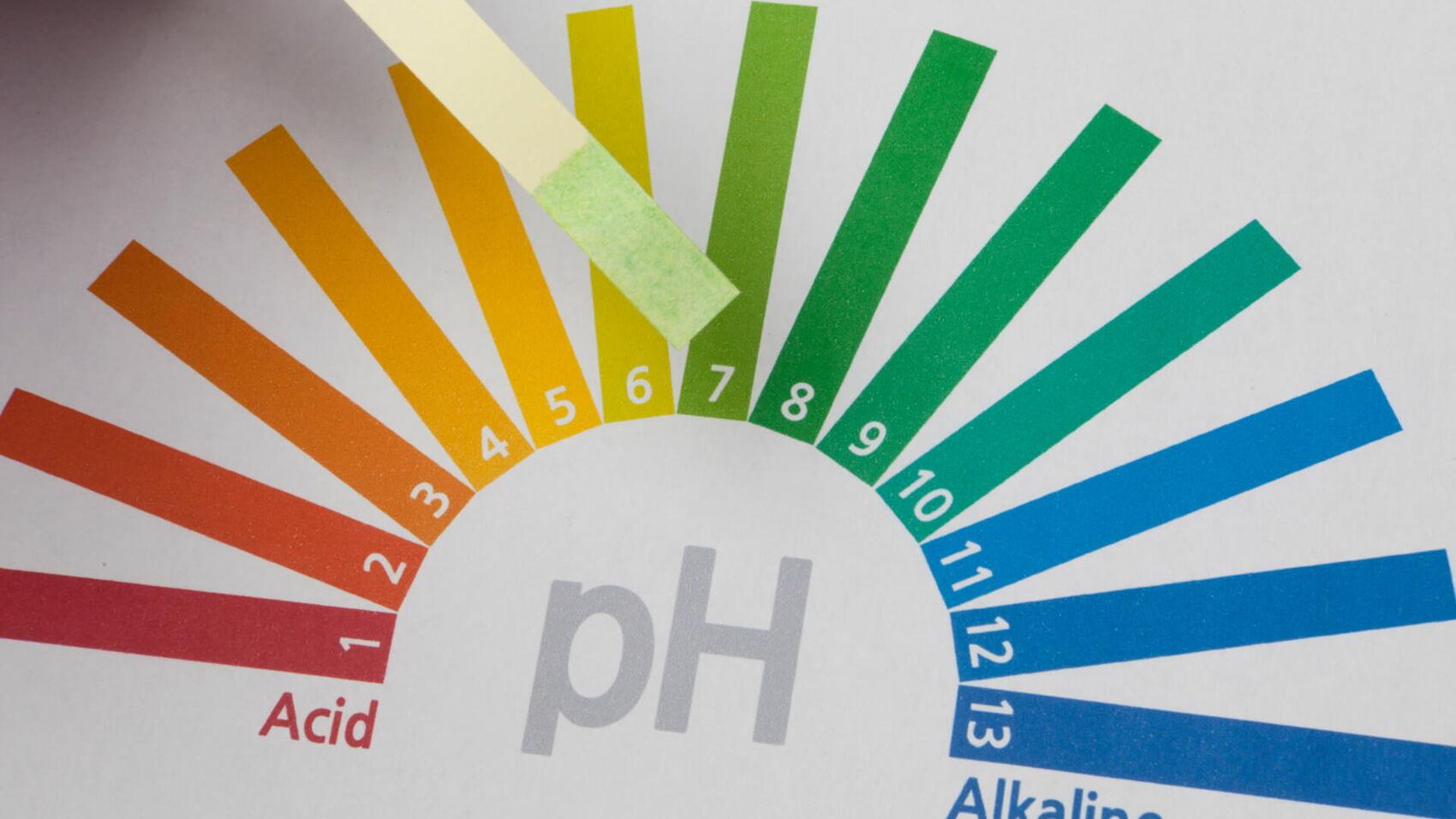 Wie ist der pH-Wert des Wassers? | welltec Wie ist der pH-Wert des Wassers? | welltec